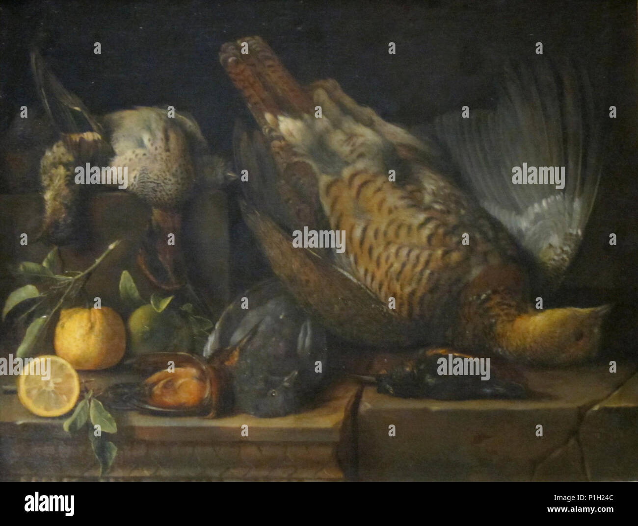 'Still Life with Dead Birds' by Pierre Dupuis, 1666 Stock Photo - Alamy