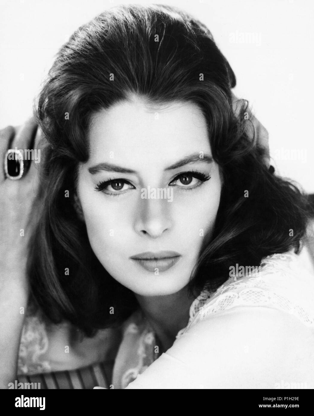 Capucine Pink Panther High Resolution Stock Photography and Images - Alamy