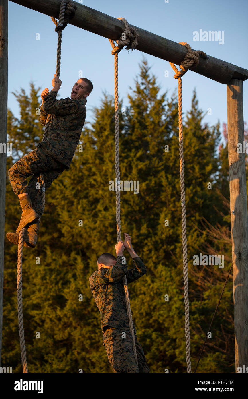 U.S. Marine candidates climb ropes as part of the obstacle course while ...