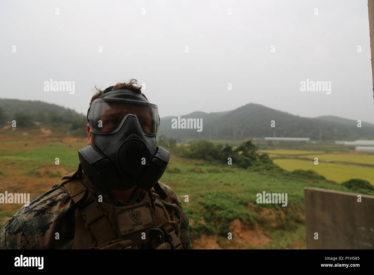 M50 Joint Service General Purpose Gas Mask Stock Photos & M50 Joint ...