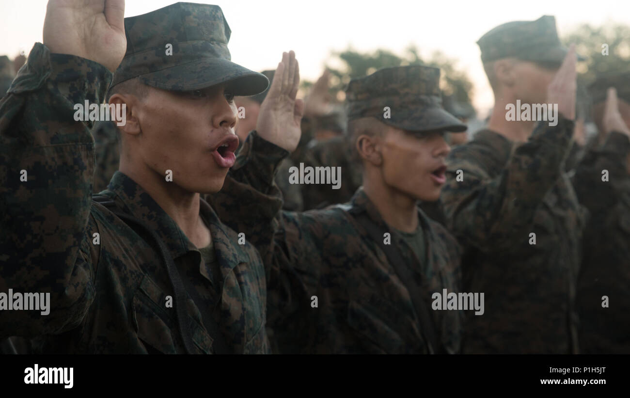 Pfc. Nicholas K. Nacion, 21, and his brother, Pfc. Naveh K. Nacion, 18 ...
