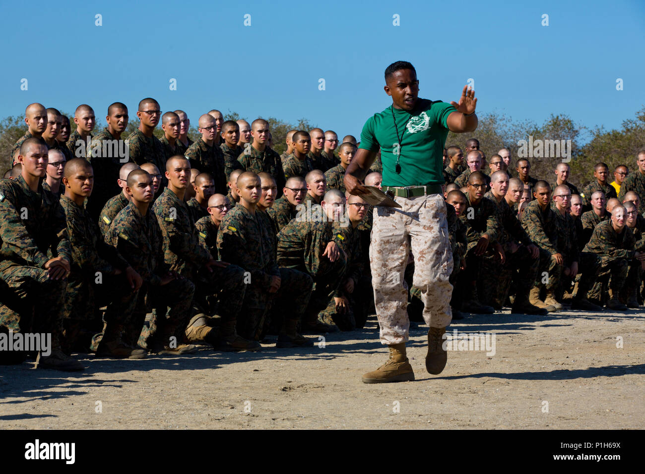 U S Marine Corps Sgt Vincent L Walters A Drill Instructor With