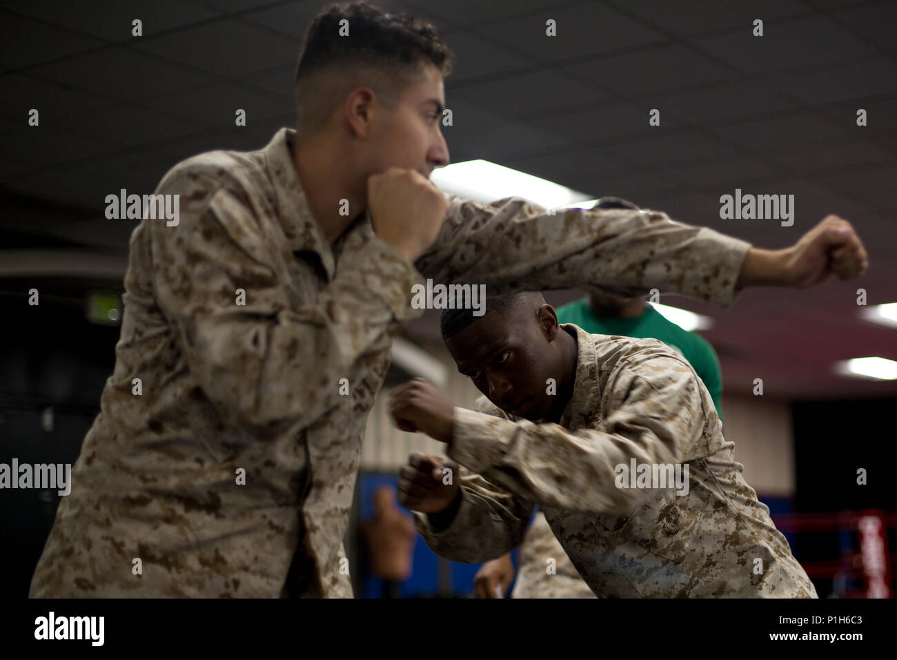 U.S. Marine Corps Pfc. Alexander L. Gist with Combat Camera (COMCAM ...