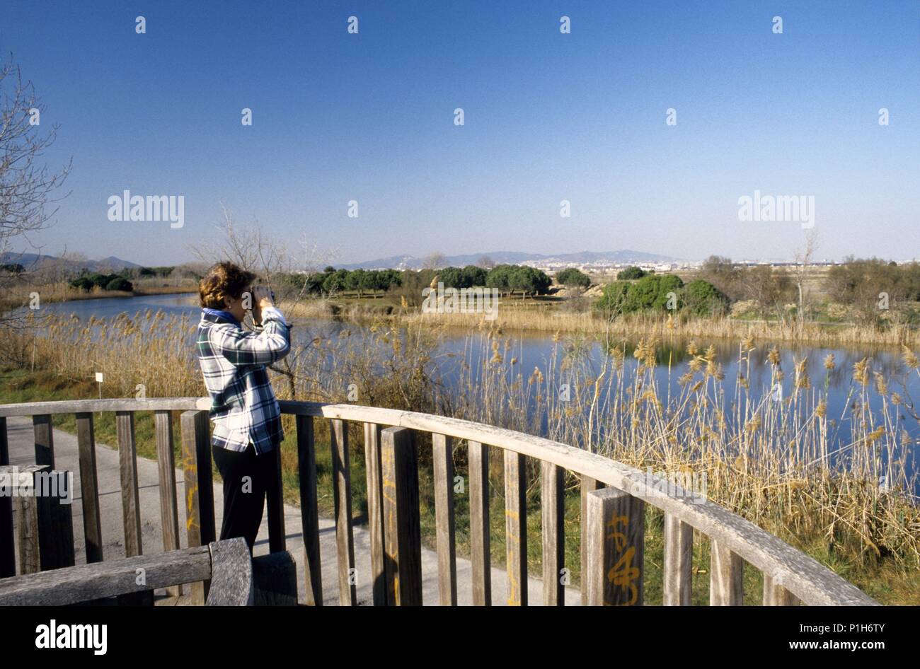 Delta del Llobregat, Reserva Natural, mirador Stock Photo - Alamy