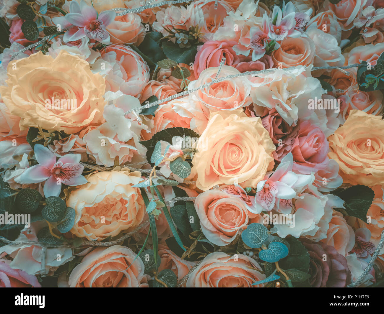 colorful flower wall background Stock Photo - Alamy