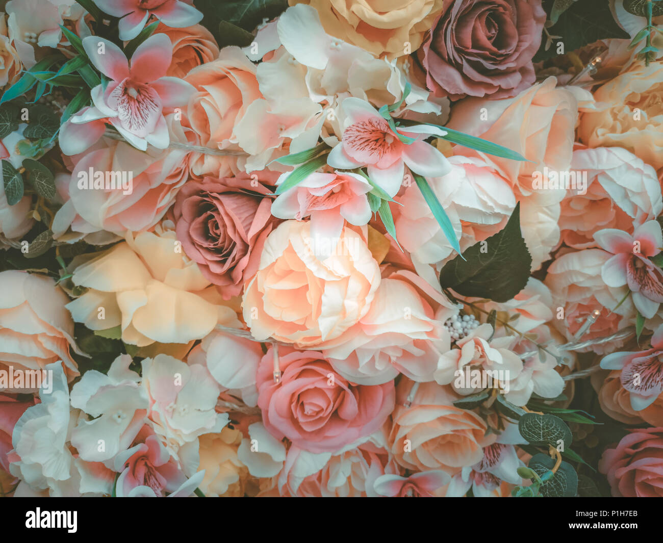 colorful flower wall background Stock Photo - Alamy