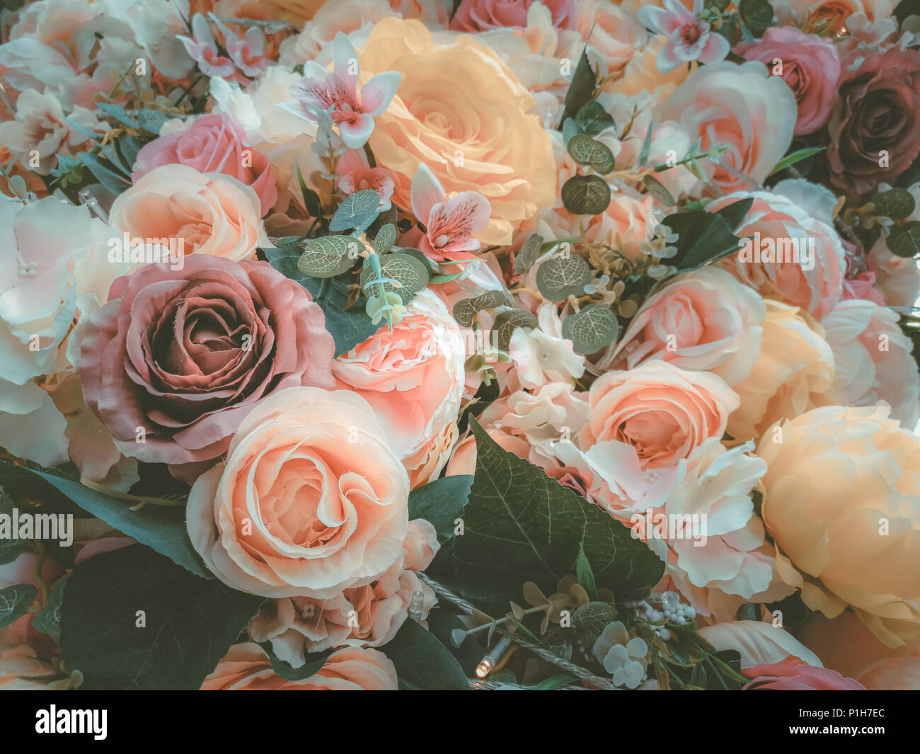 colorful flower wall background Stock Photo - Alamy