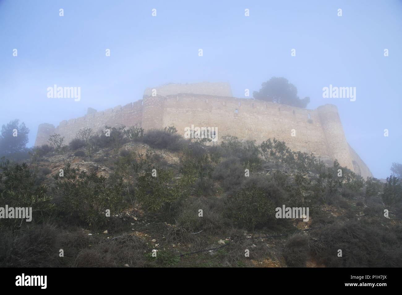 Jalance hi-res stock photography and images - Alamy