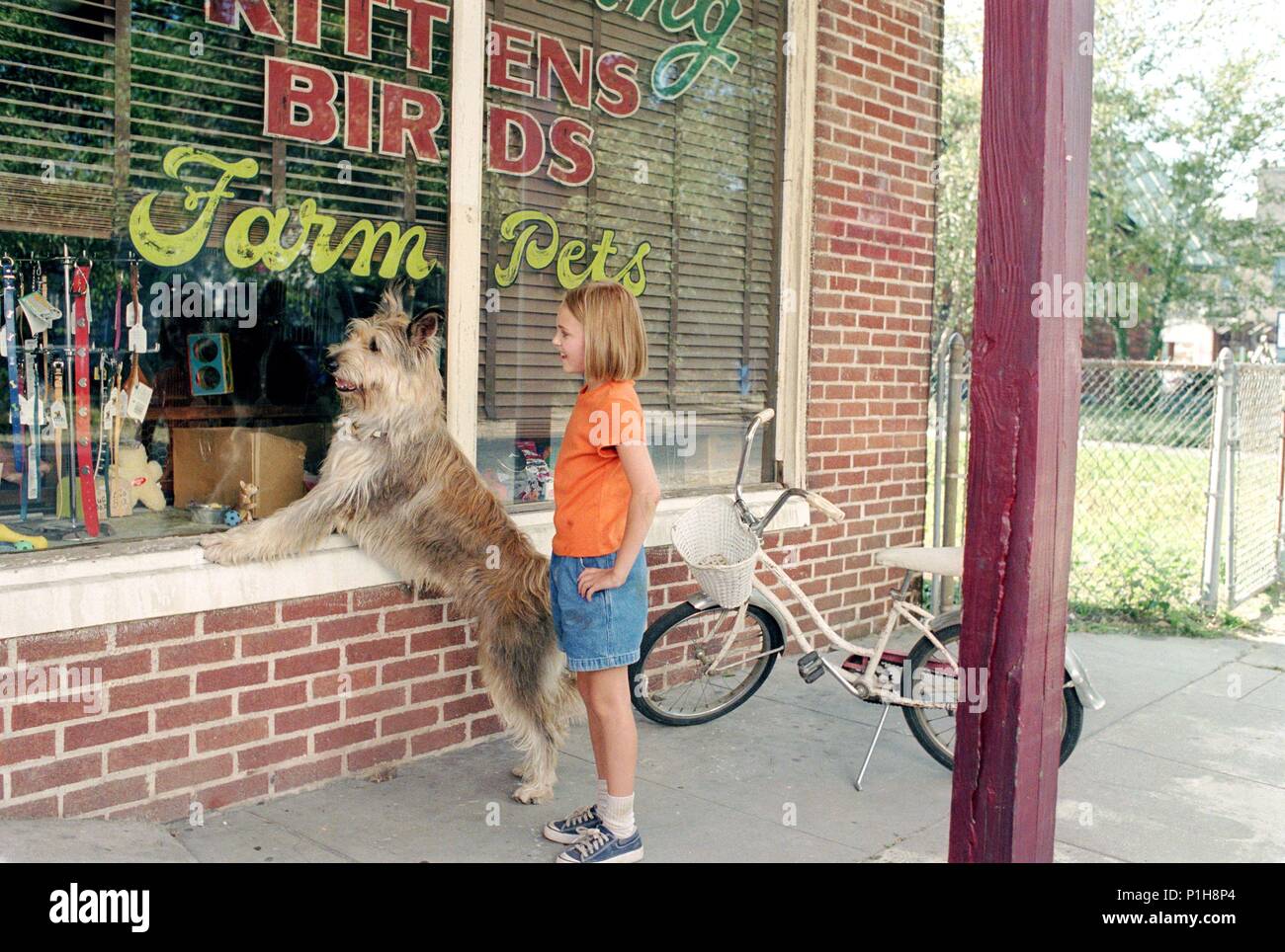 Winn Dixie Annasophia Robb Winn Dixie 2005 High Resolution Stock ...