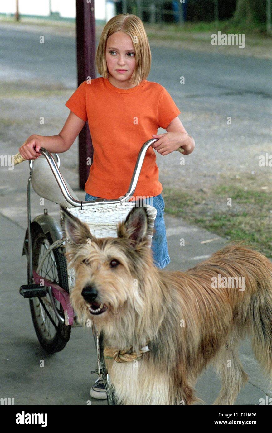 Original Film Title: BECAUSE OF WINN-DIXIE. English Title: BECAUSE OF ...