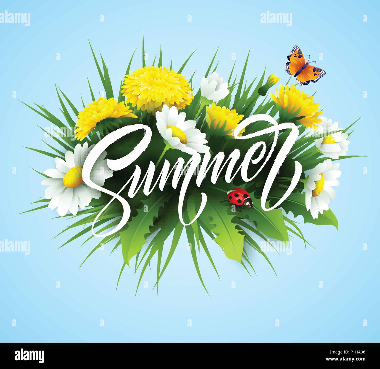 Summer handwriting lettering with summer flower. Vector illustration ...