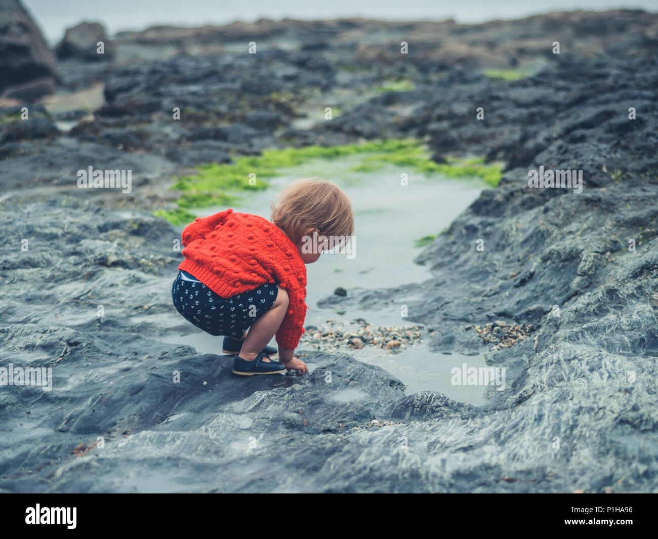 Child exploring sea hi-res stock photography and images - Alamy