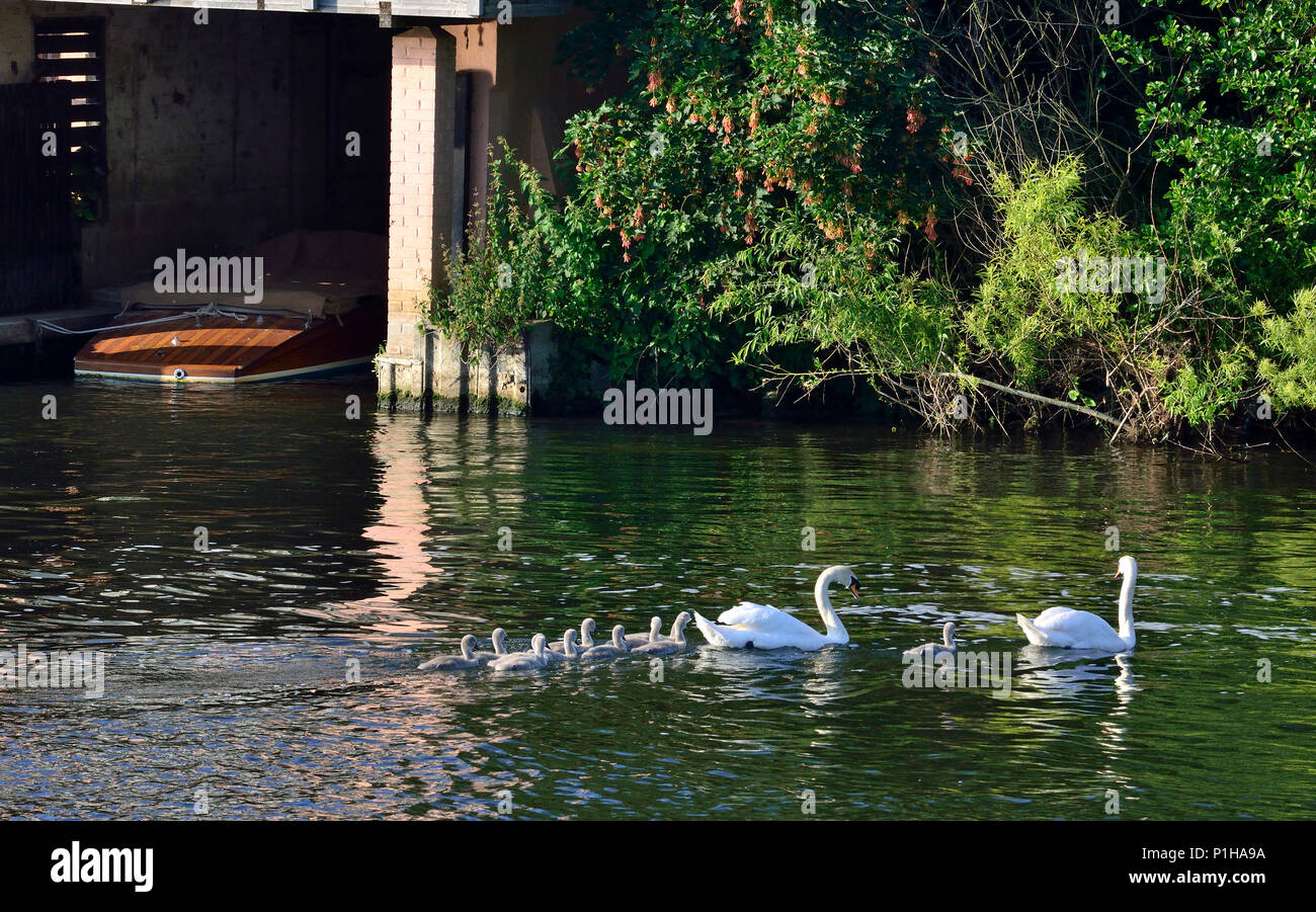 Englsh river scene hi-res stock photography and images - Alamy
