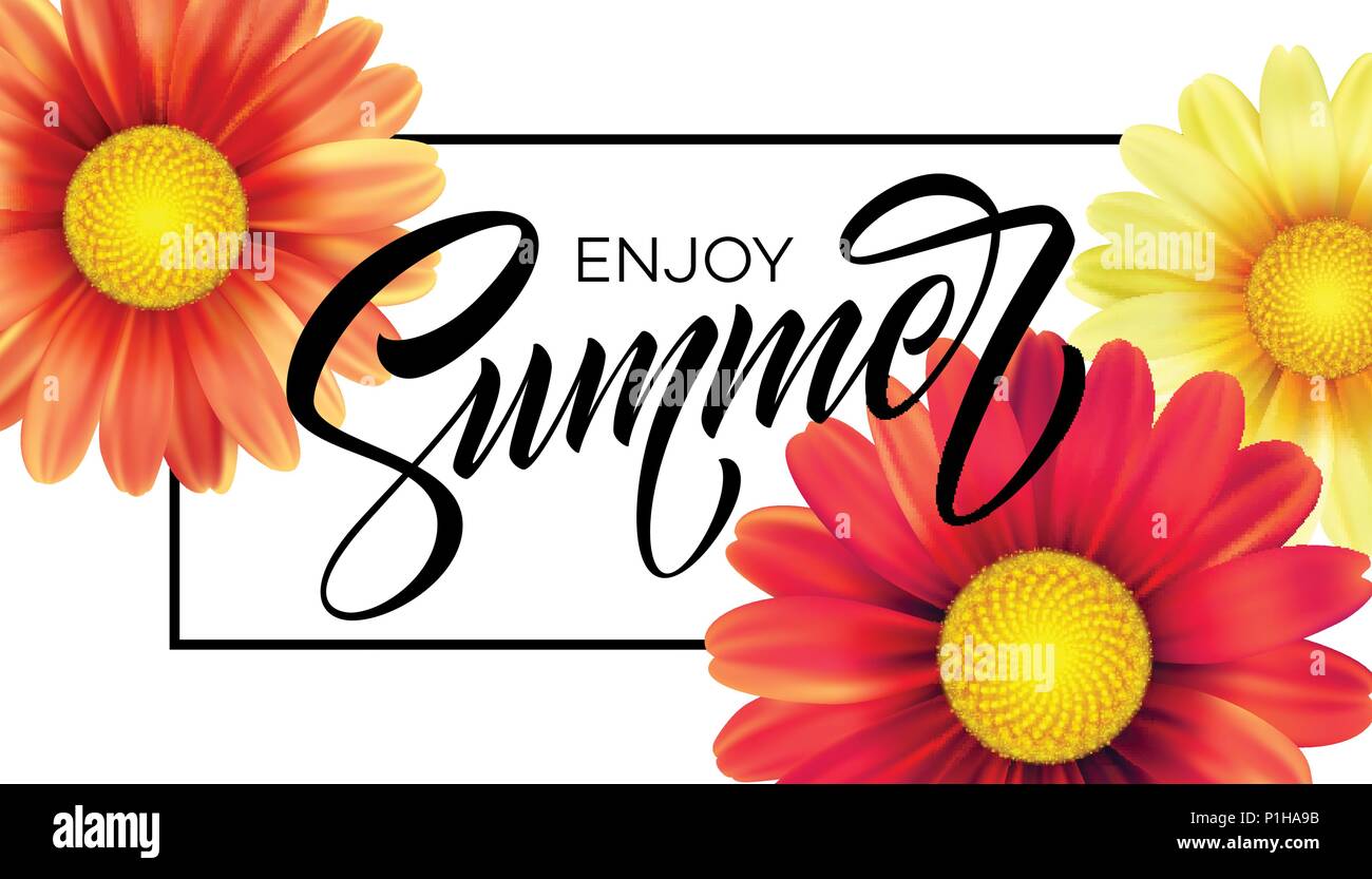 Daisy Flower Background and Summer Lettering. Vector Illustration Stock ...