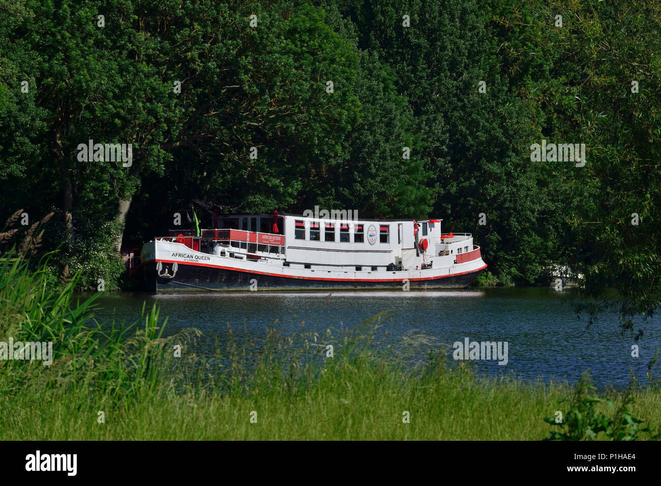 'African Queen' boatel a floating hotel on the River Thames is now up ...