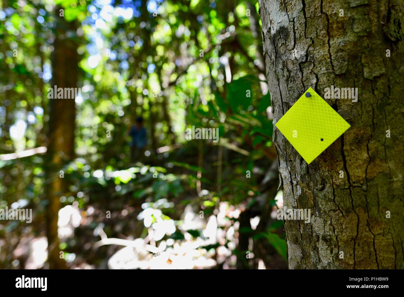 Mother and daughters walk through a rocky outcrop in a forest, Paluma ...
