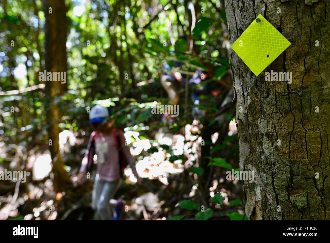 Mother and daughters walk through a rocky outcrop in a forest, Paluma ...
