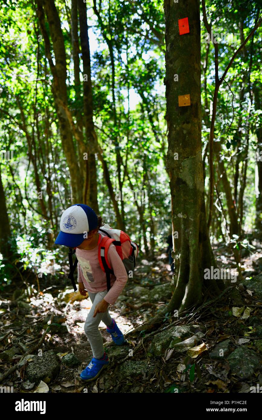 Mother and daughters walk through a rocky outcrop in a forest, Paluma ...