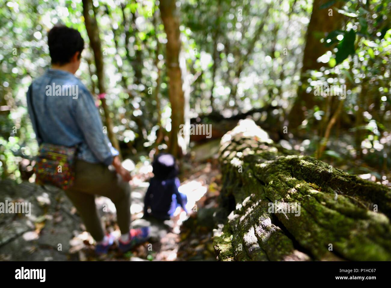 Mother and daughters walk through a rocky outcrop in a forest, Paluma ...