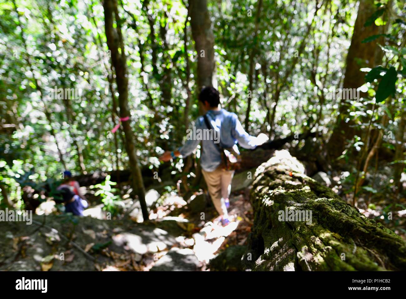 Mother and daughters walk through a rocky outcrop in a forest, Paluma ...