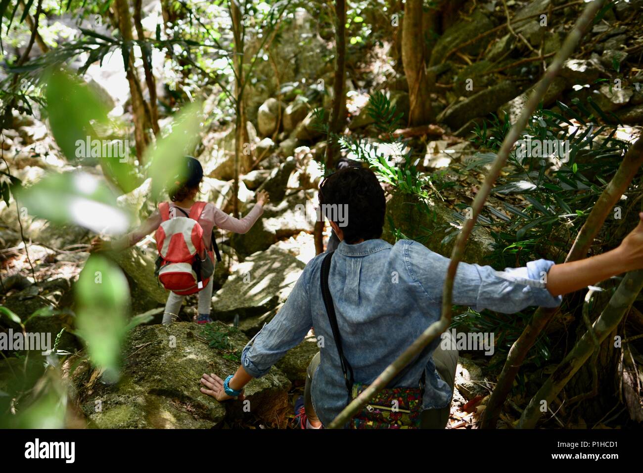 Mother and daughters walk through a rocky outcrop in a forest, Paluma ...