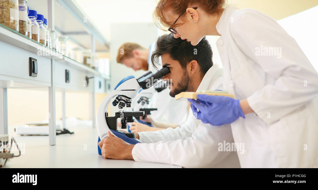Young scientist looking through microscope in laboratory Stock Photo ...
