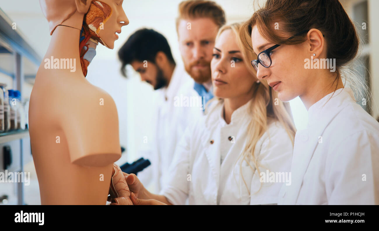 Students of medicine examining anatomical model in classroom Stock ...