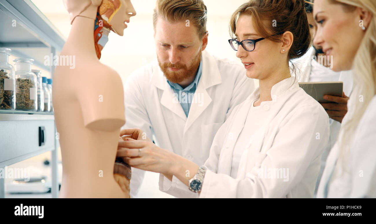 Students of medicine examining anatomical model in classroom Stock ...