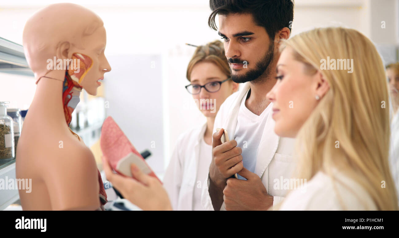 Students of medicine examining anatomical model in classroom Stock ...