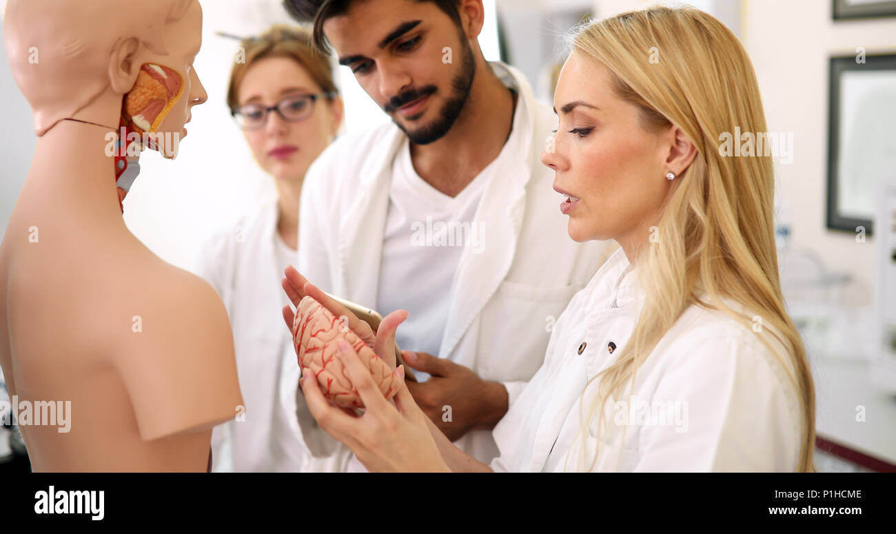 Students of medicine examining anatomical model in classroom Stock ...