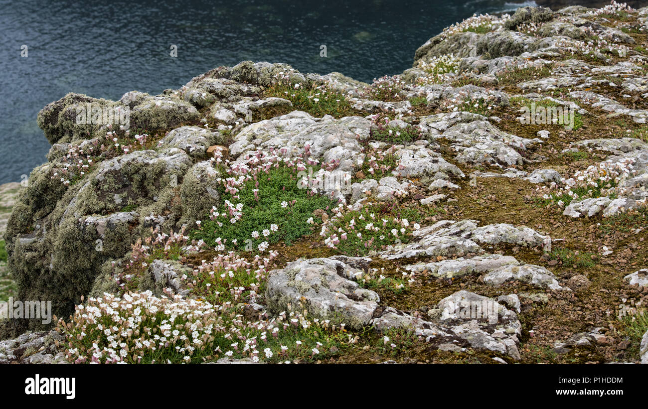 Cliff and rocks hi-res stock photography and images - Alamy