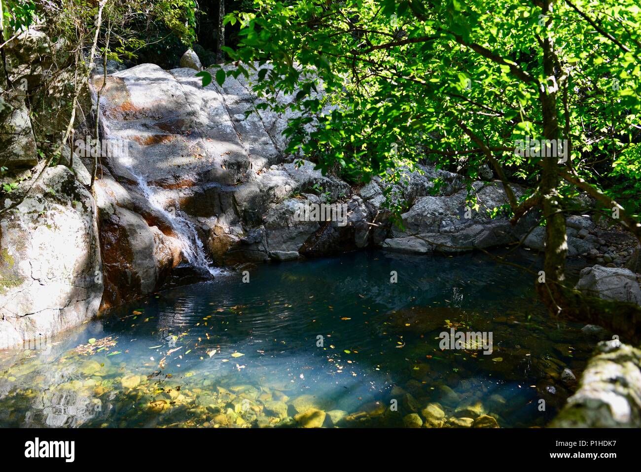 The beautiful and isolated Loop falls, Paluma Range National Park ...