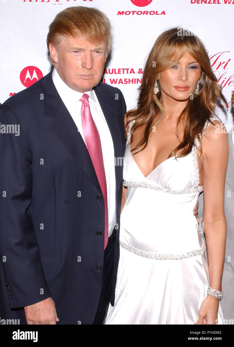 Venus combs hi-res stock photography and images - Alamy