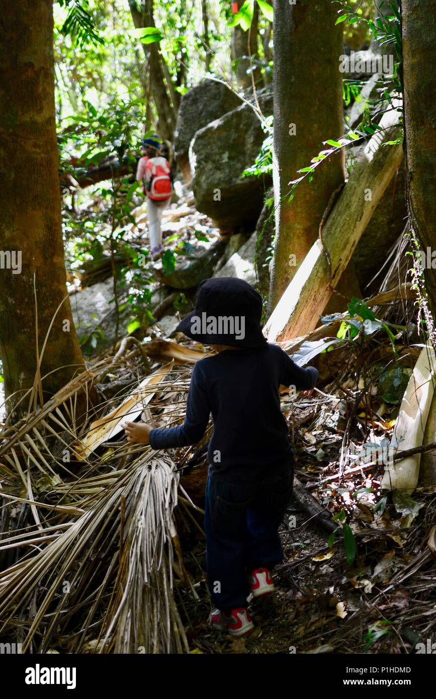 Children hiking through difficult terrain over fallen palm fronds in a ...