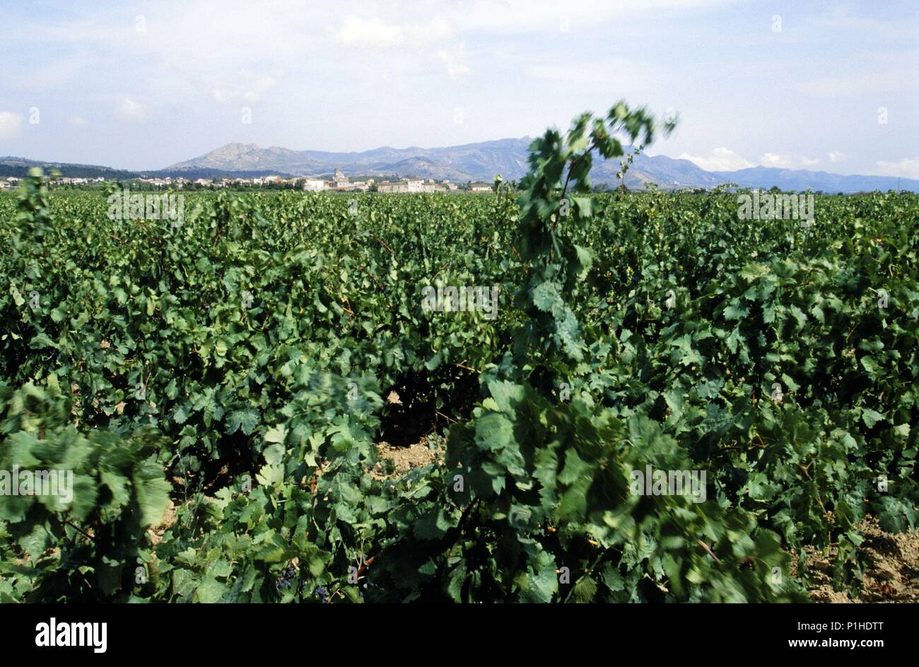Garriguella hi-res stock photography and images - Alamy
