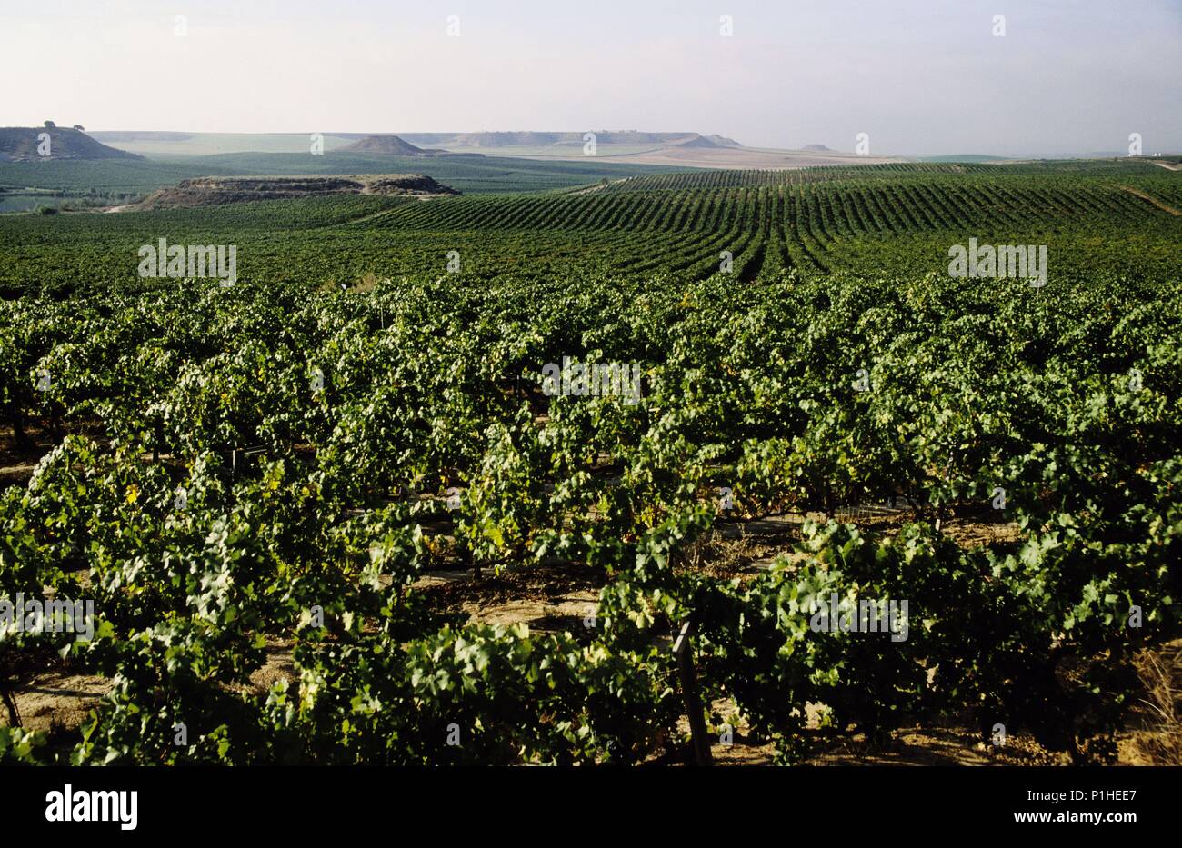 Spain catalonia el segria hi-res stock photography and images - Alamy