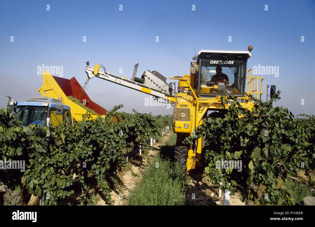 El segria hi-res stock photography and images - Alamy