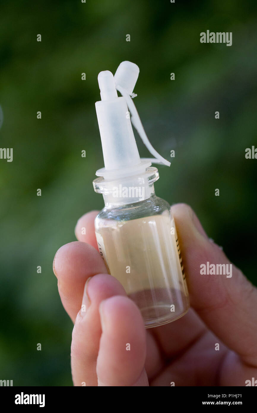 eye or ear dropper medicine bottle,image of a Stock Photo - Alamy