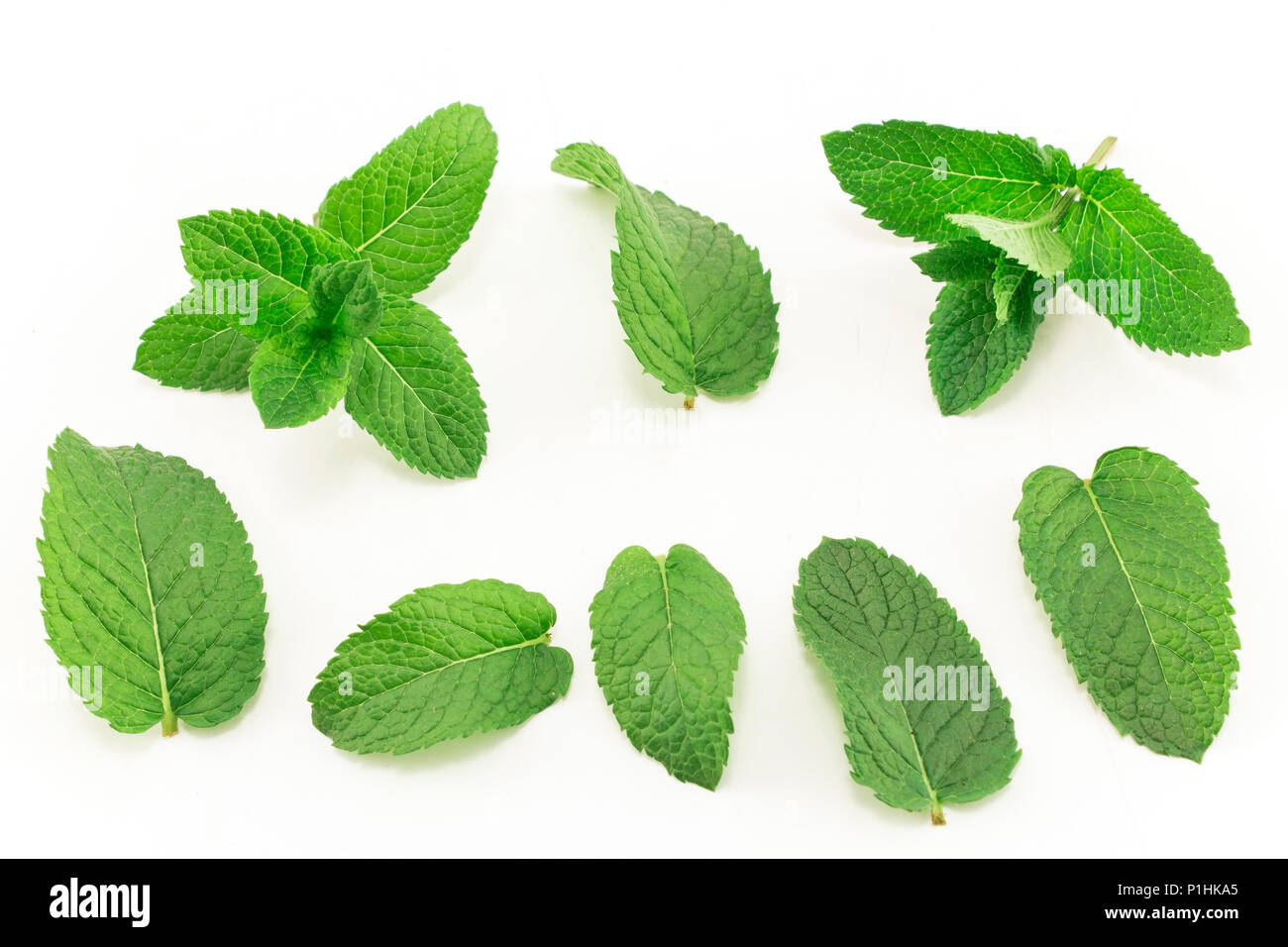 Fresh Mint Isolated on White Stock Photo - Alamy