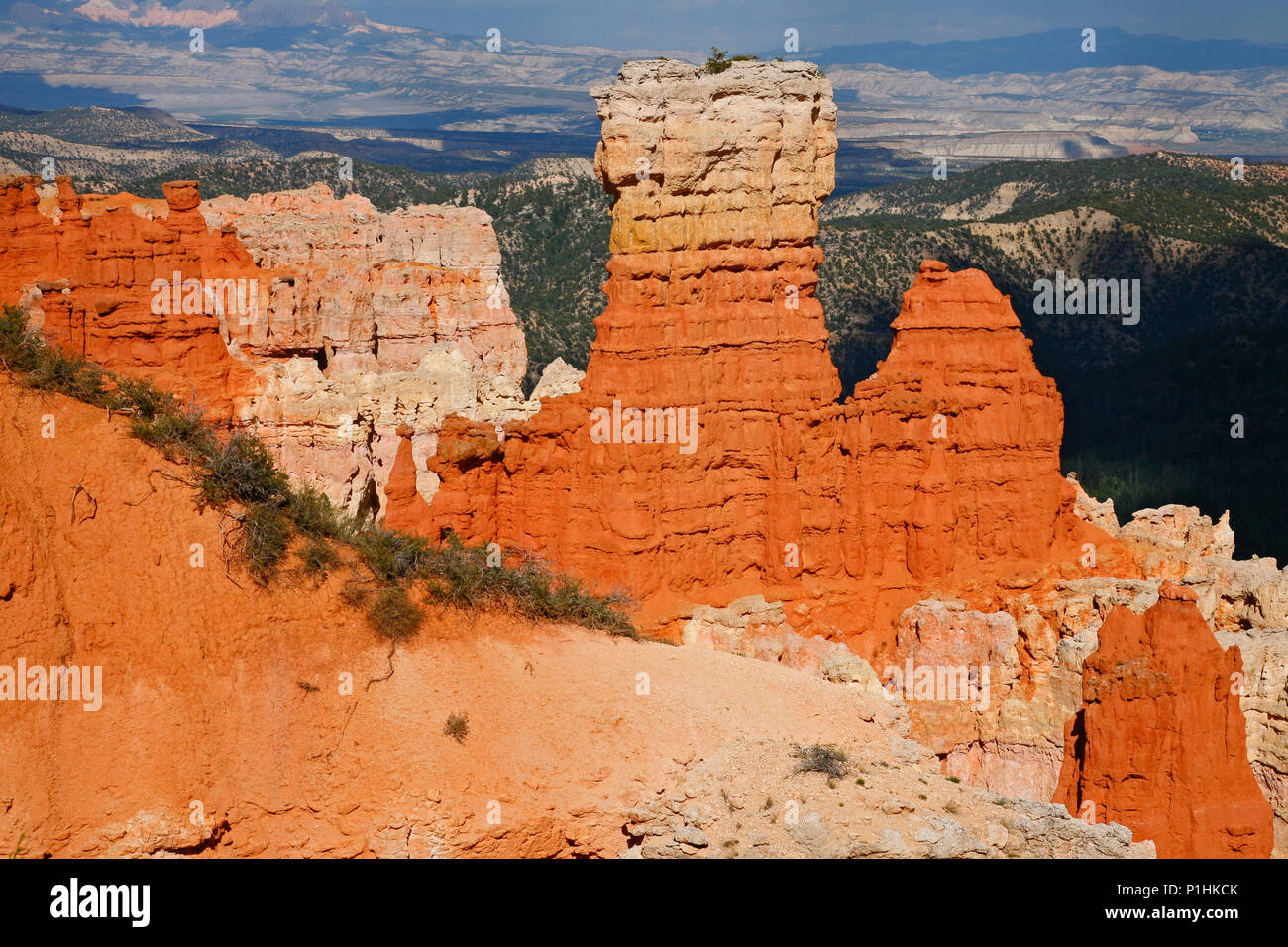 Great spires carved away by erosion in Bryce Canyon National Park, Utah ...