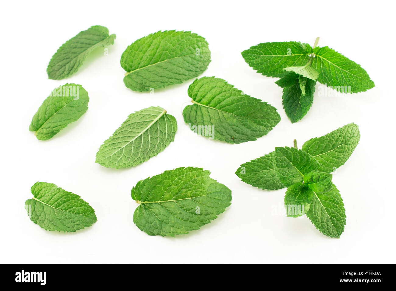 Fresh Mint Isolated on White Stock Photo - Alamy