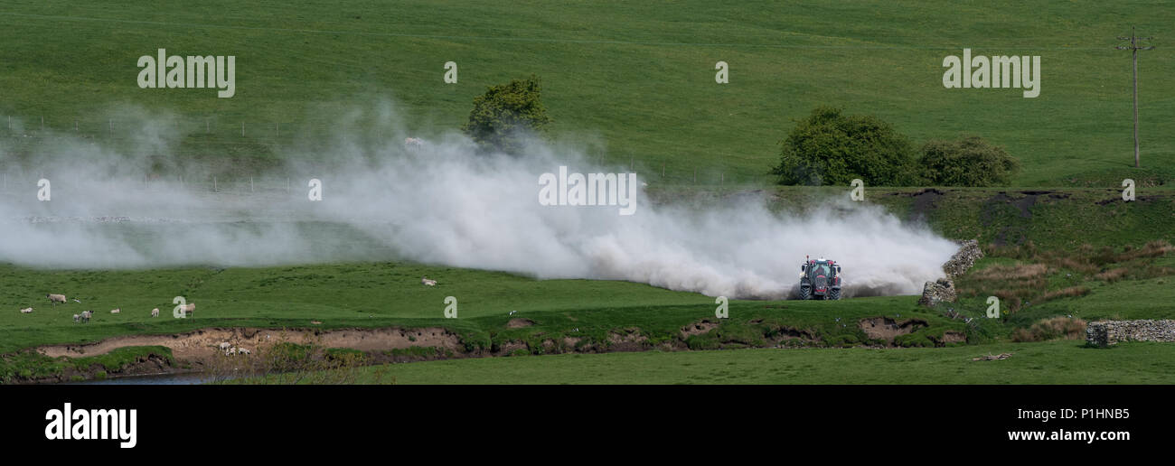 Lime grassland hi-res stock photography and images - Alamy