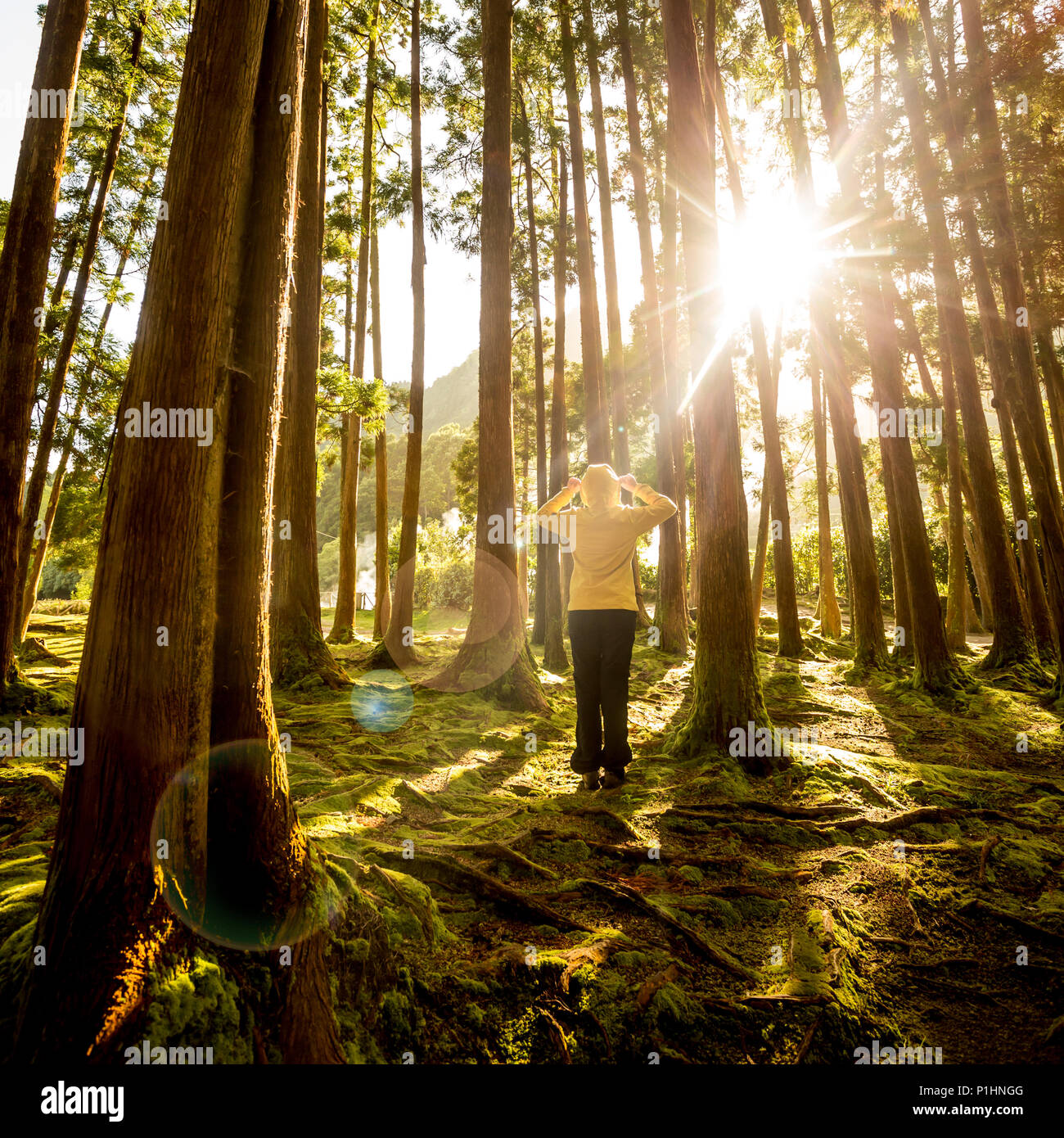 Back view of a woman in a beautiful forest Stock Photo - Alamy