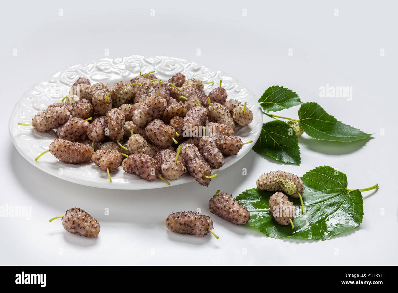 Mulberry leaf hi-res stock photography and images - Alamy