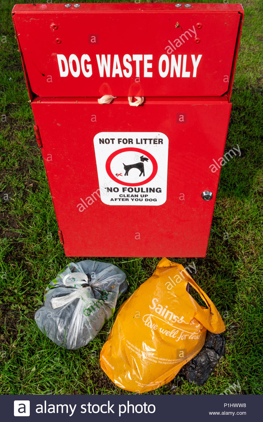 Empty Waste Bin High Resolution Stock Photography and Images - Alamy