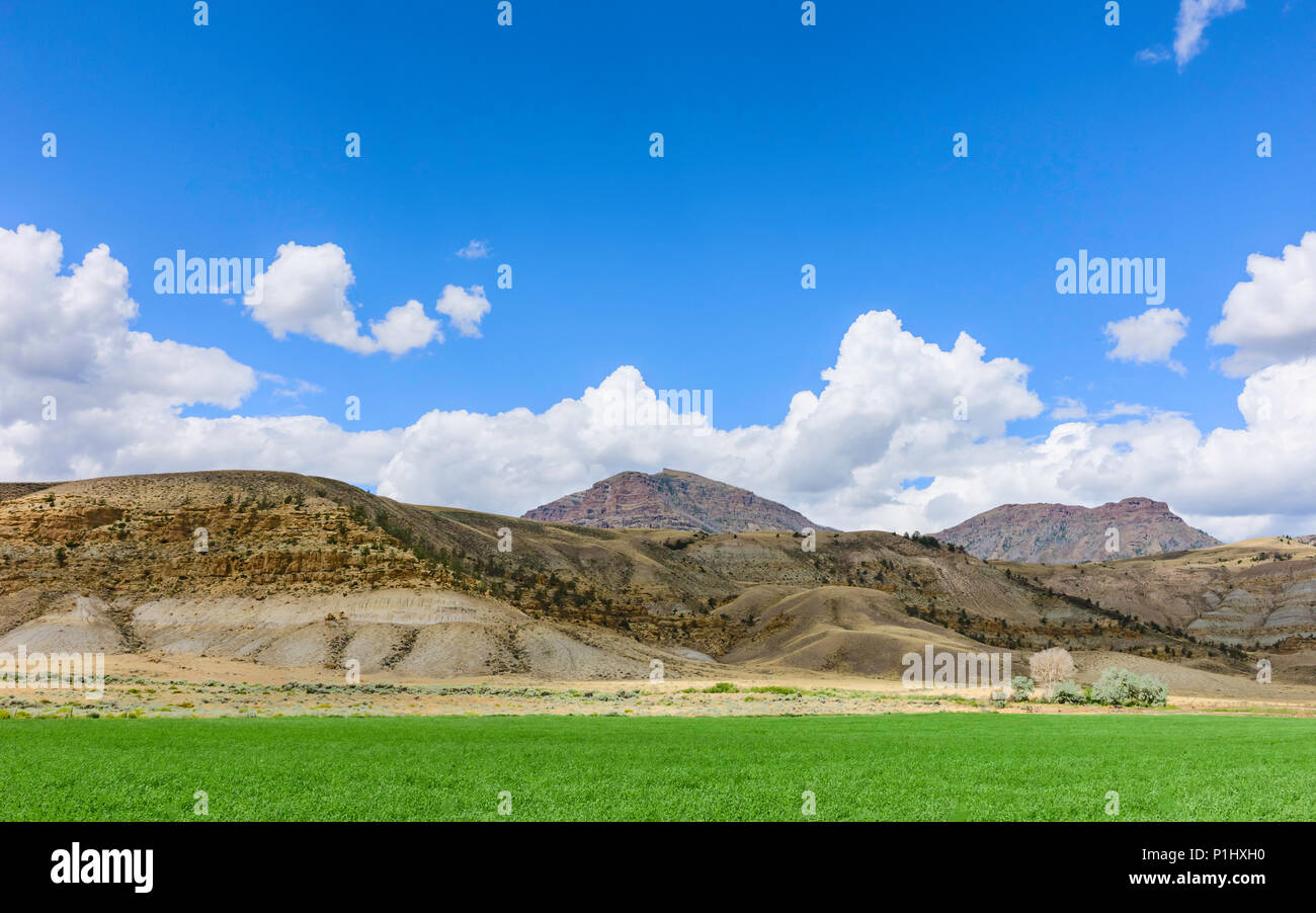 Buffalo bill ranch hi-res stock photography and images - Alamy