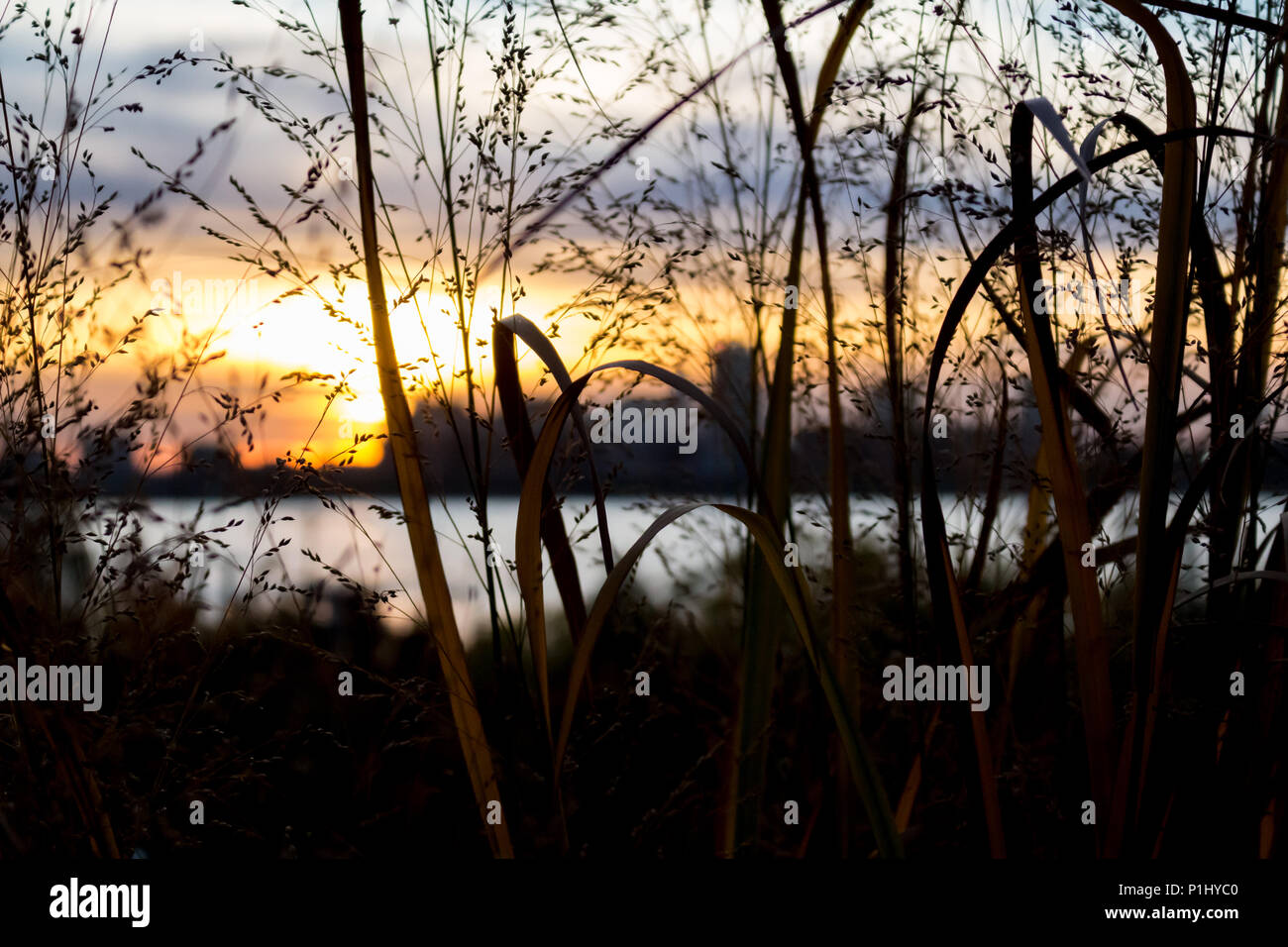 Sunset from High Line Park NYC USA Stock Photo - Alamy