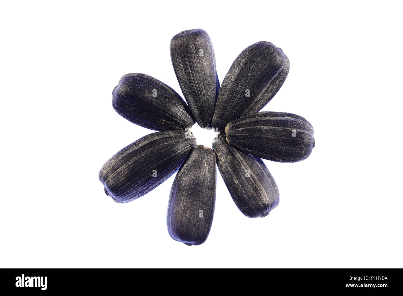 Flower seeds pattern hi-res stock photography and images - Alamy