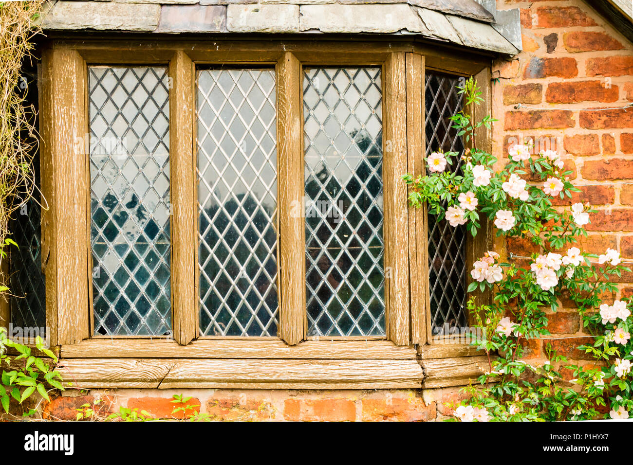Old weathered leaded window of a garden house Stock Photo - Alamy