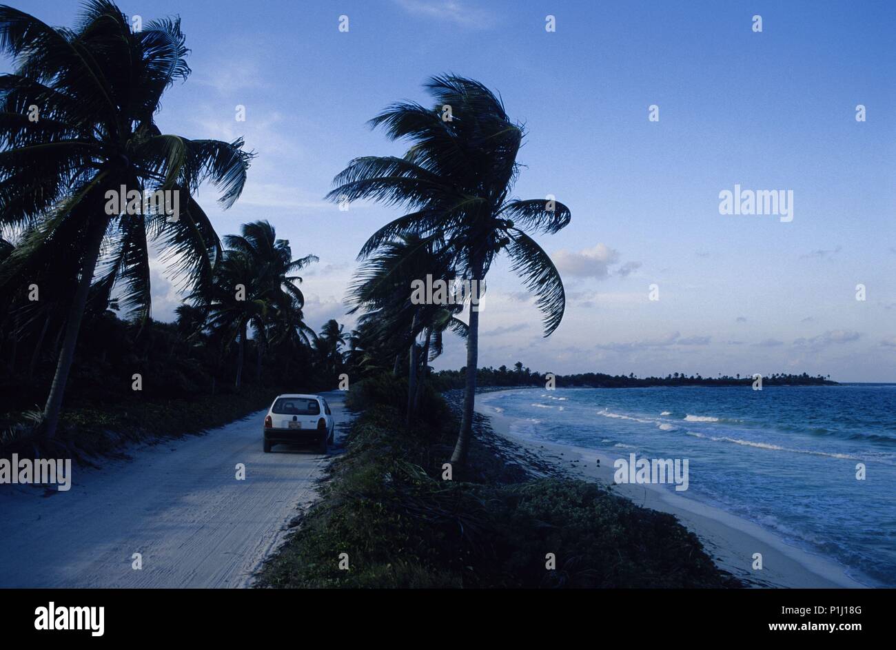 camino Tulum - Boca Paila (Riviera Maya Stock Photo - Alamy